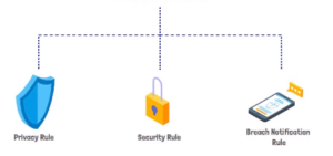 What Is NPI Data Security?