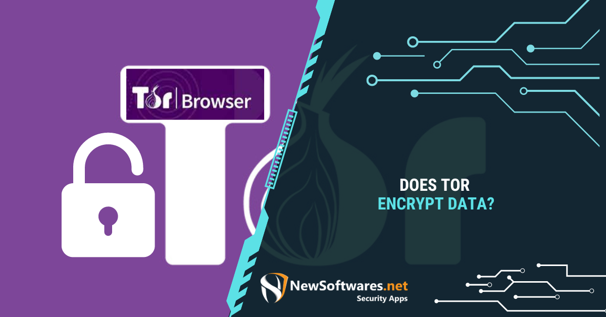Does Tor Encrypt Data? - Newsoftwares.net Blog