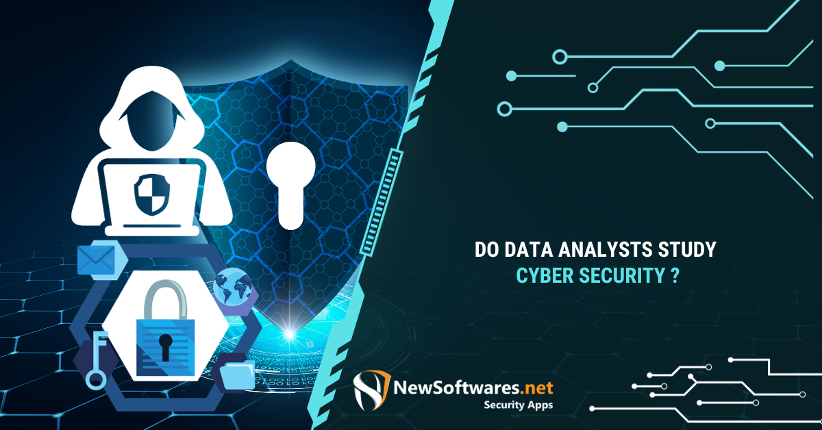 Do Data Analysts Study Cyber Security - Newsoftwares.net Blog