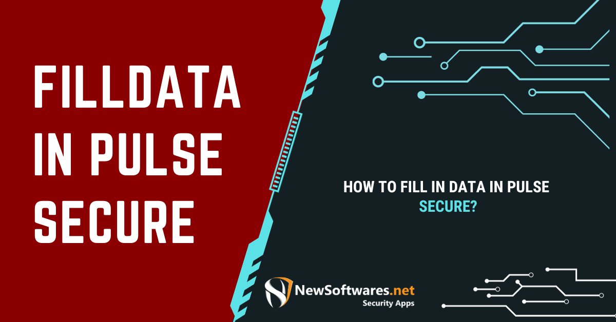 How To Fill In Data In Pulse Secure? - Newsoftwares.net Blog