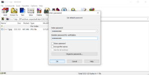 How To Protect A Zip Or Rar File With A Password? - Newsoftwares.net Blog