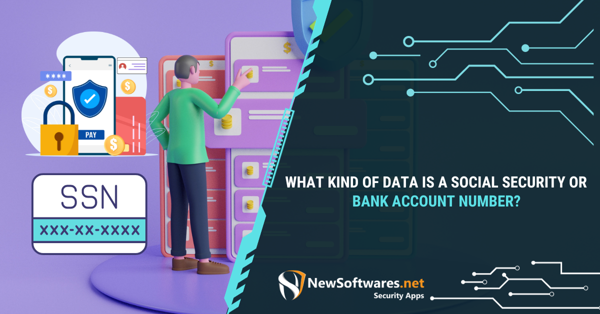 What Kind Of Data Is A Social Security Or Bank Account Number ...