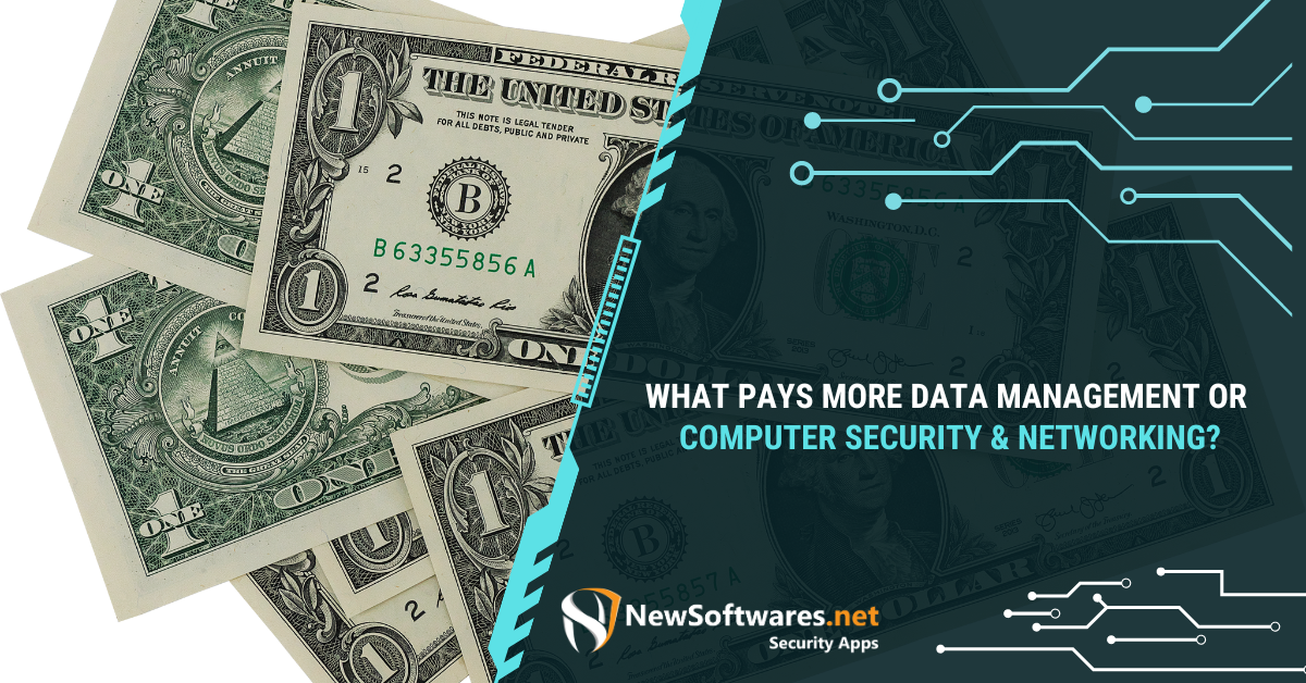 What Pays More Data Management Or Computer Security & Networking? - Newsoftwares.net Blog