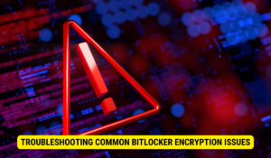 Guide To BitLocker USB Drive Encryption: Before Vs. After Data Transfer ...