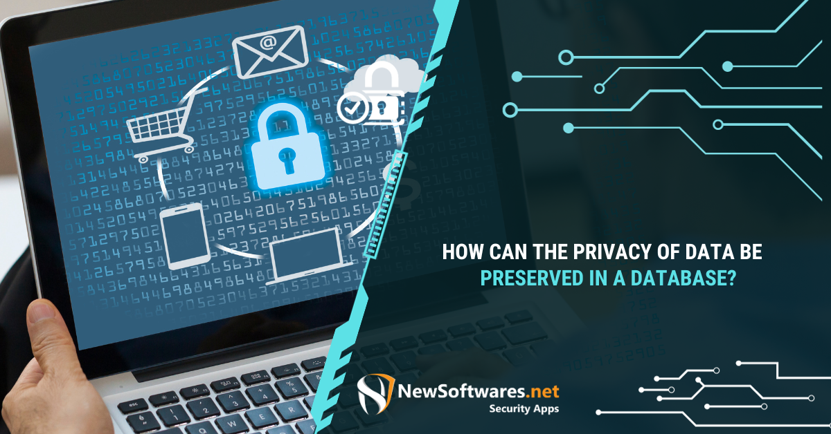 How Can The Privacy Of Data Be Preserved In A Database? - Newsoftwares.net Blog