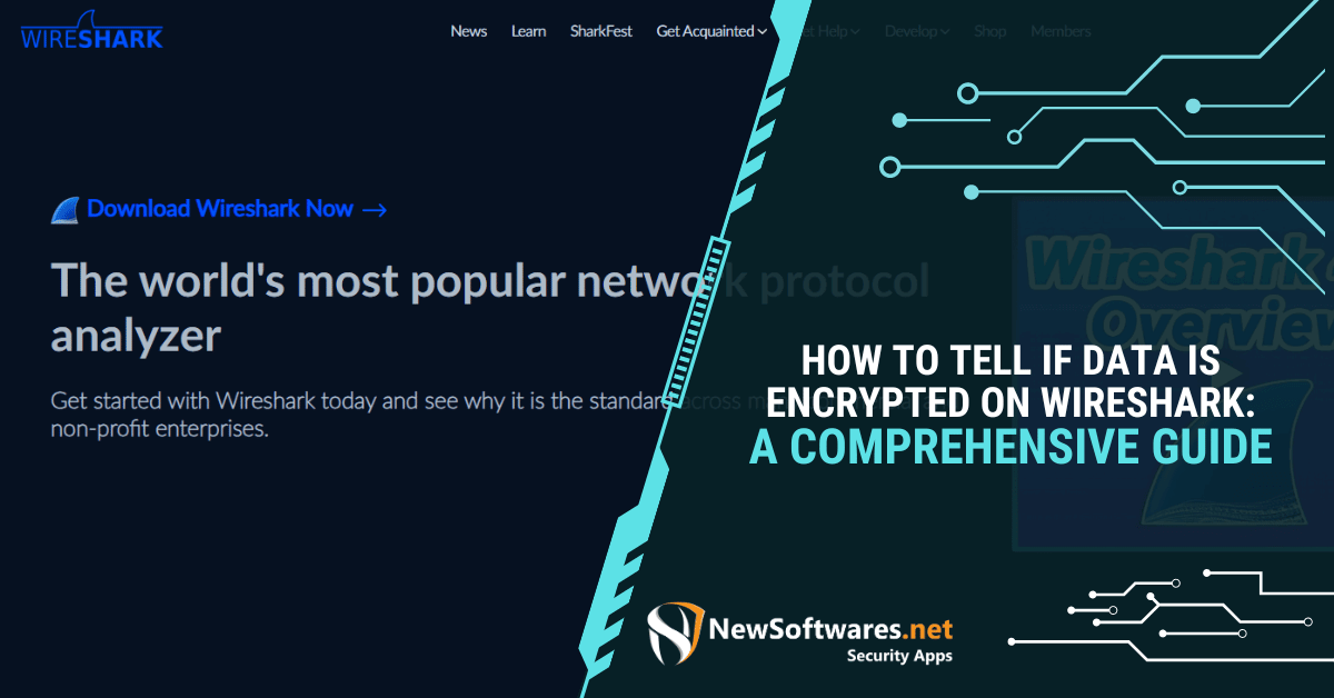 How To Tell If Data Is Encrypted On Wireshark A Comprehensive Guide Blog