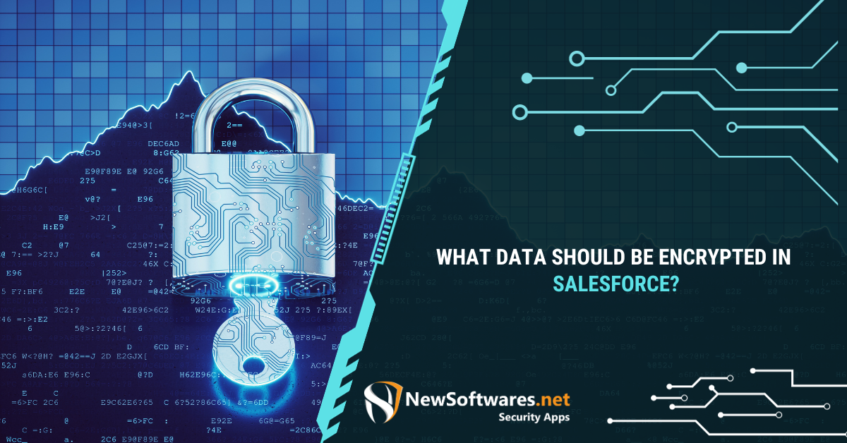 What Data Should Be Encrypted In Salesforce? - Newsoftwares.net Blog