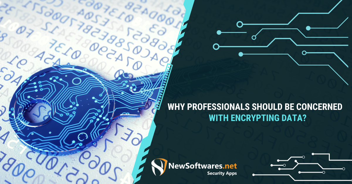 Why Professionals Should Be Concerned With Encrypting Data? - Newsoftwares.net Blog