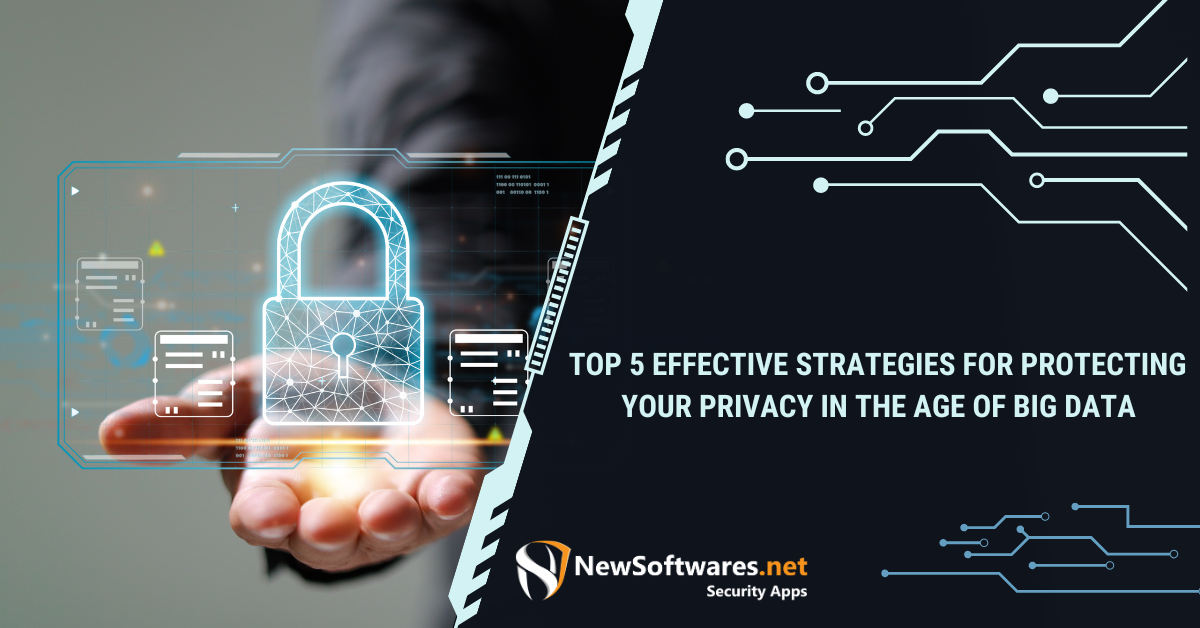 Top 5 Effective Strategies For Protecting Your Privacy In The Age Of Big Data - Newsoftwares.net ...
