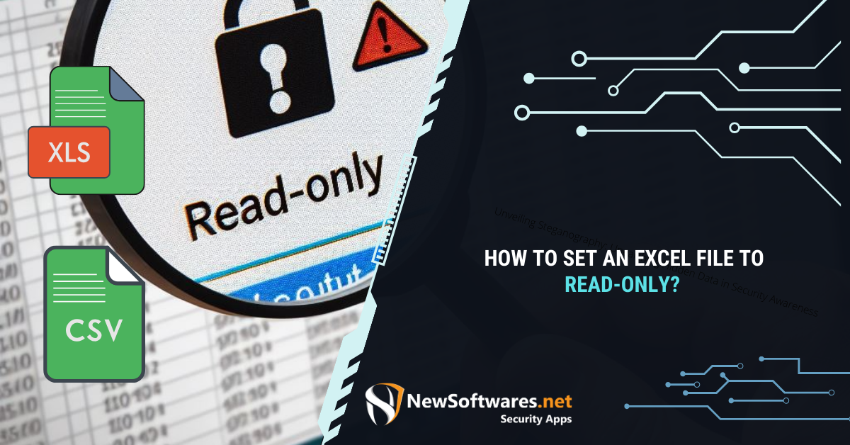 How To Set An Excel File To Read-Only? - Newsoftwares.net Blog