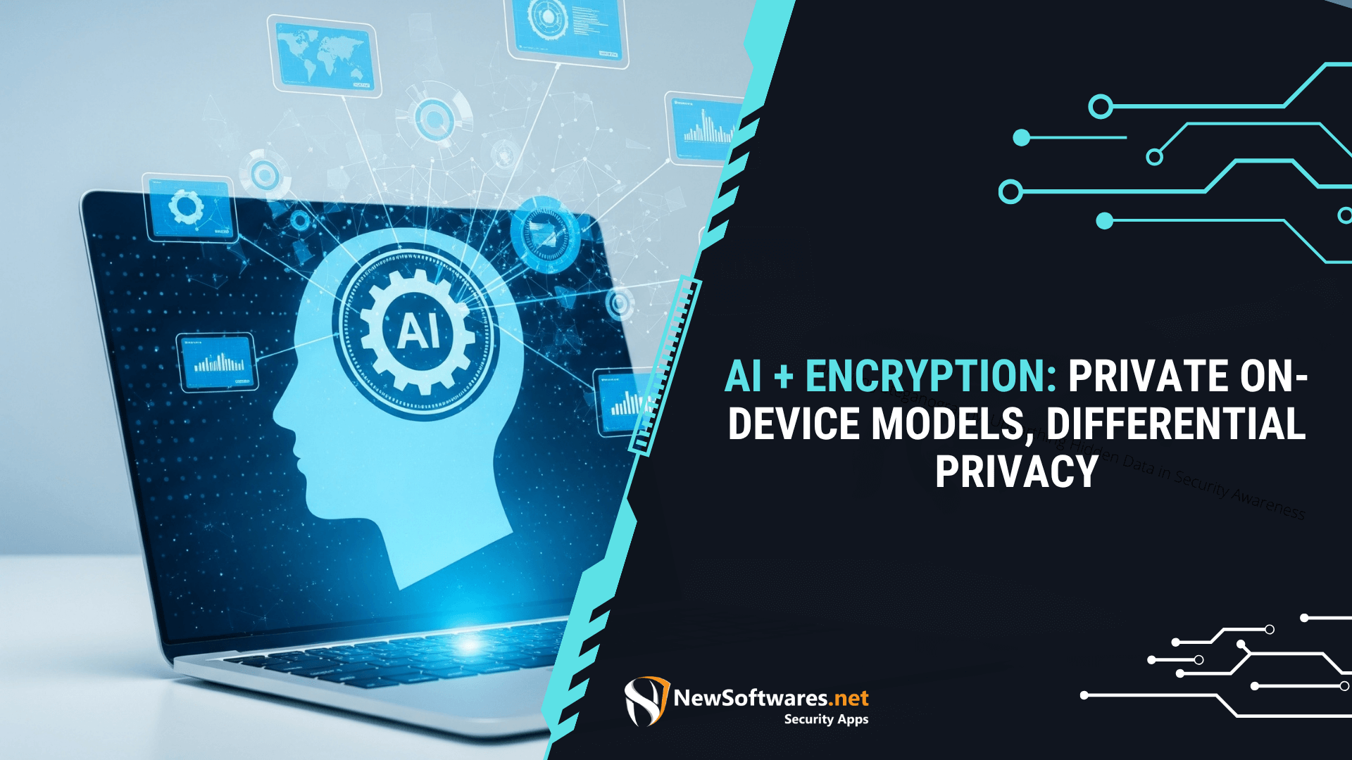 AI + Encryption: Private On Device Models, Differential Privacy ...