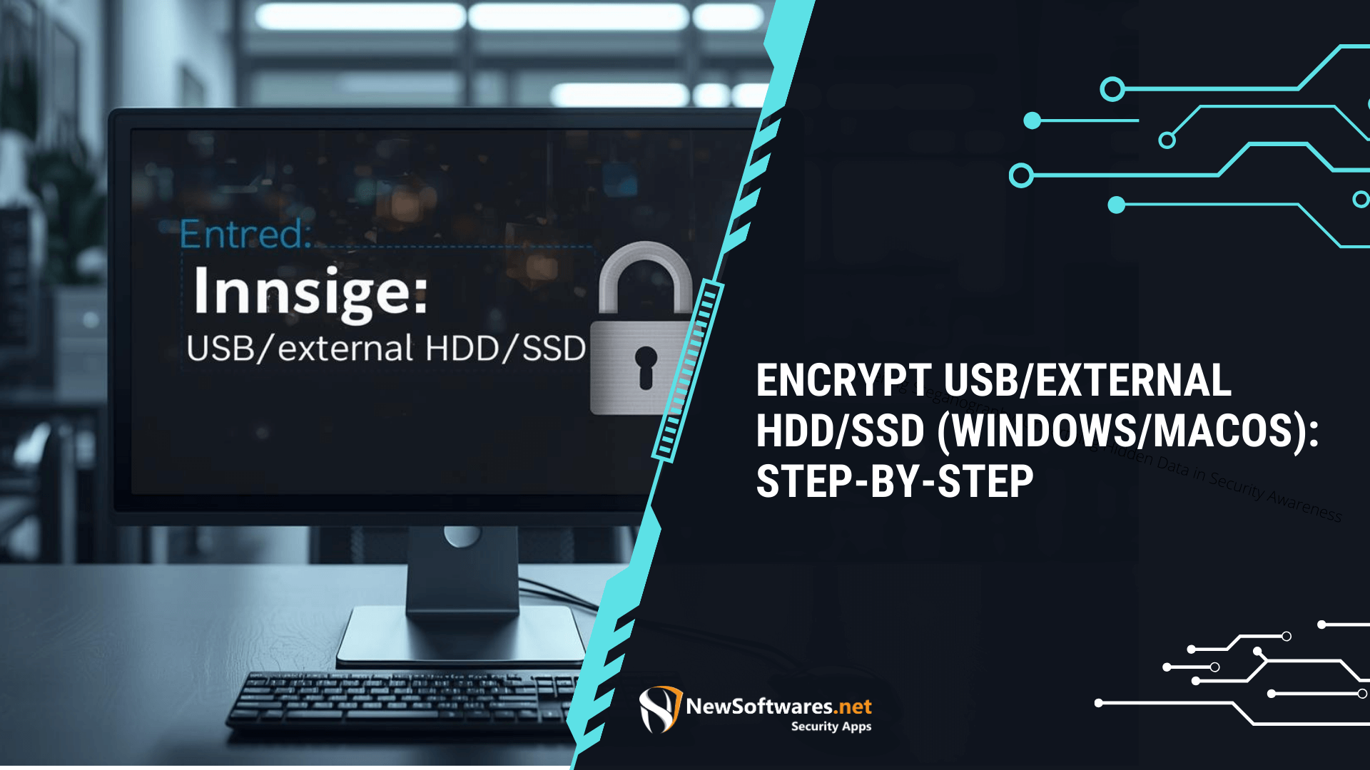 Encrypt USB/External HDD/SSD (Windows/macOS) : Step-by-Step - Newsoftwares.net Blog